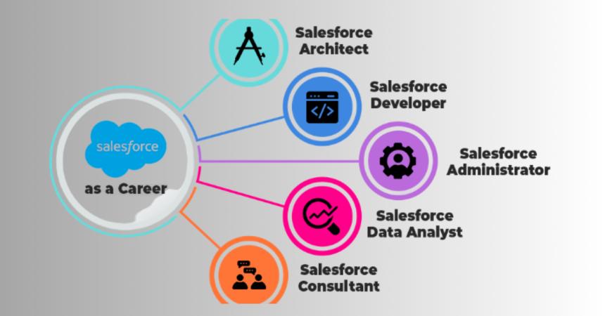 Salesforce Administrator Roles & Responsibilities – iBirds Software ...